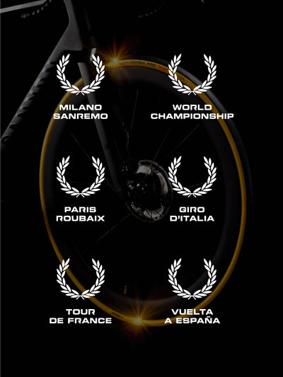 Corsa PRO Gold Limited Edition | Vittoria